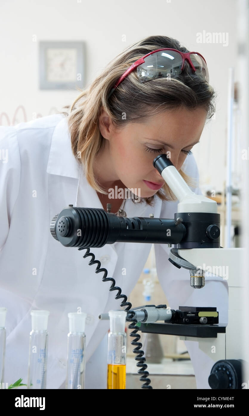 Scientist looking into a microscope Stock Photo - Alamy