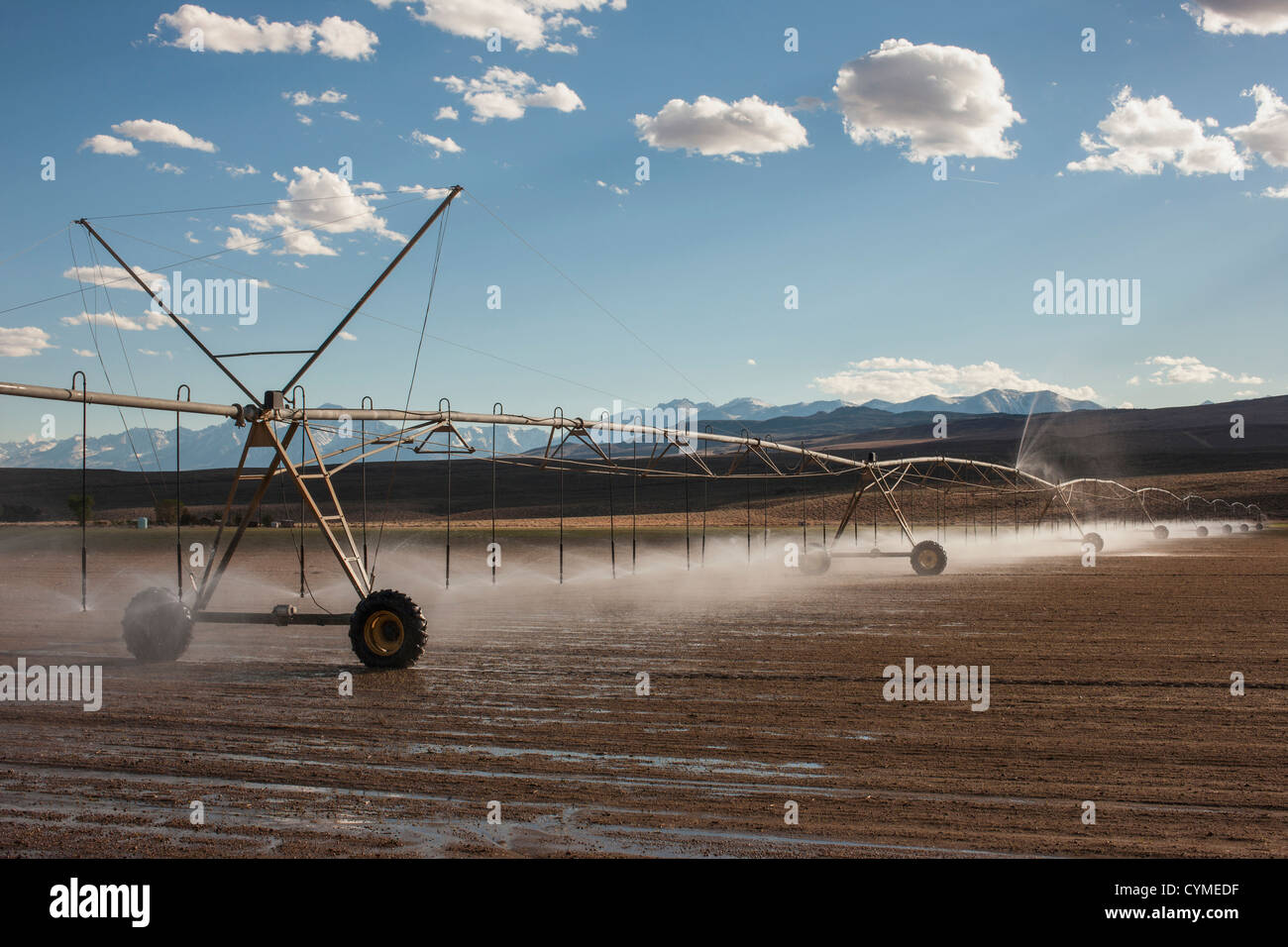 Irrigation sprinklers watering field Stock Photo - Alamy