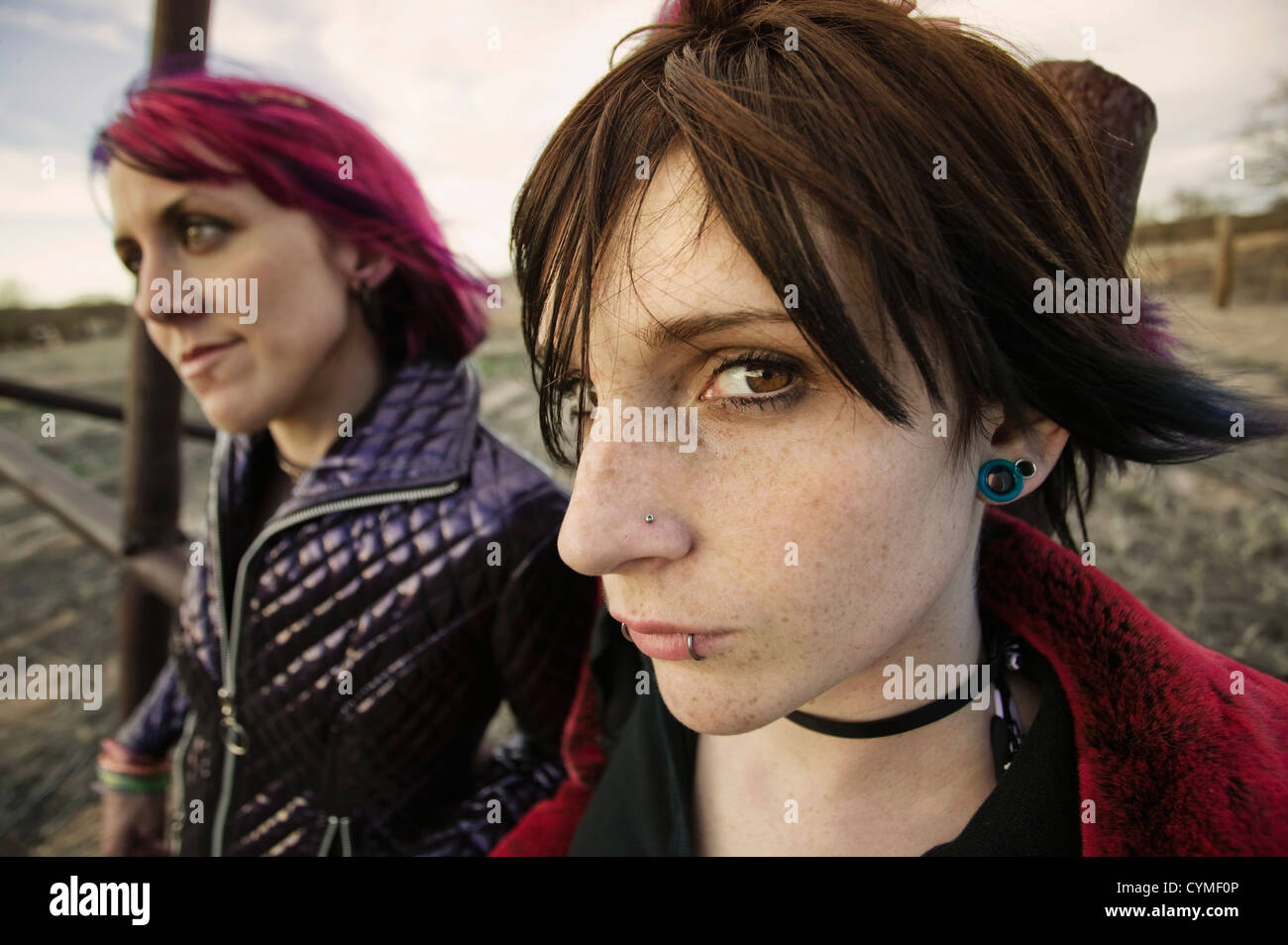 Two punk girls posing in a rural setting Stock Photo - Alamy