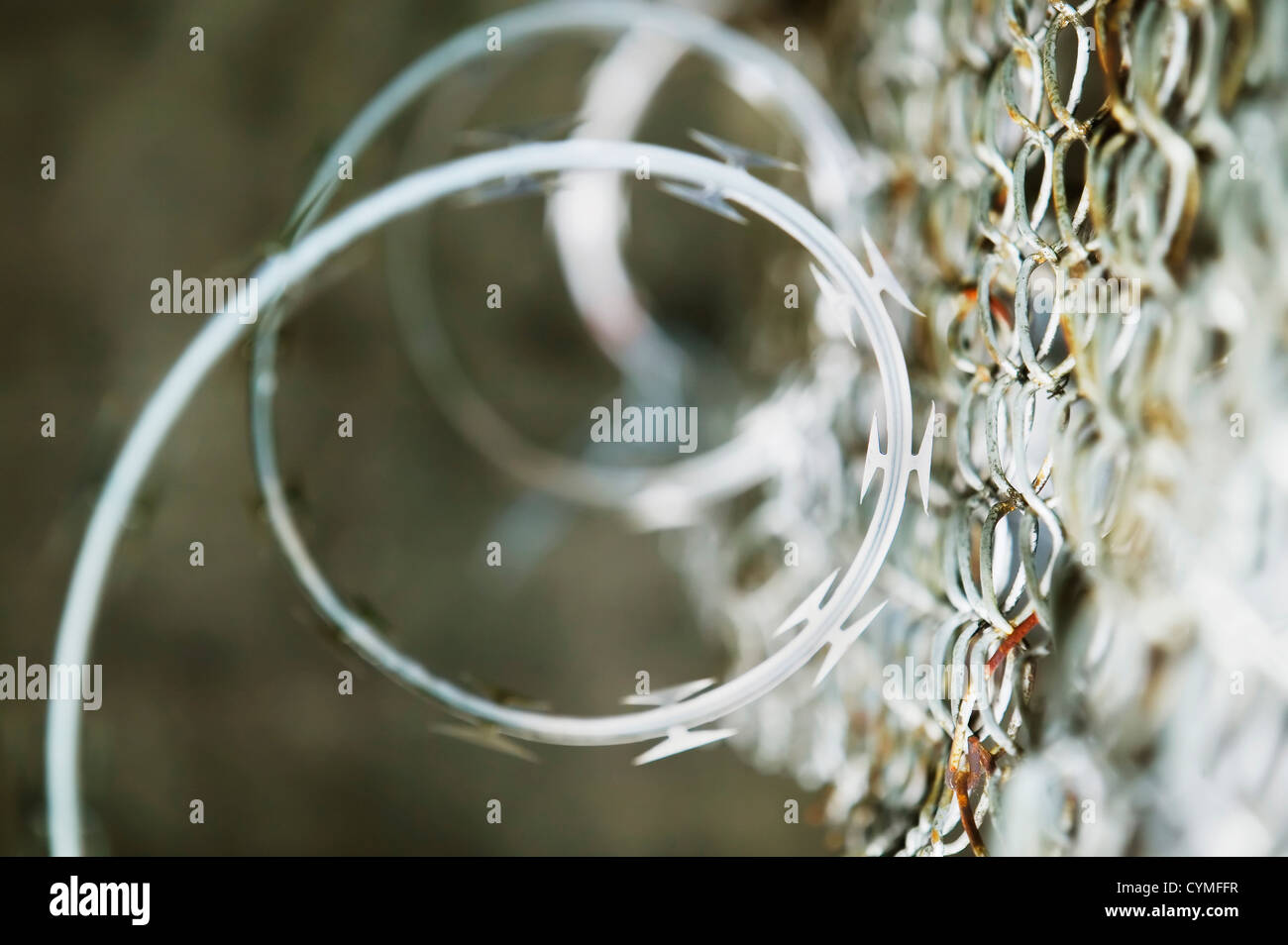 Razor wire and a rusty section of a chain link fence Stock Photo - Alamy