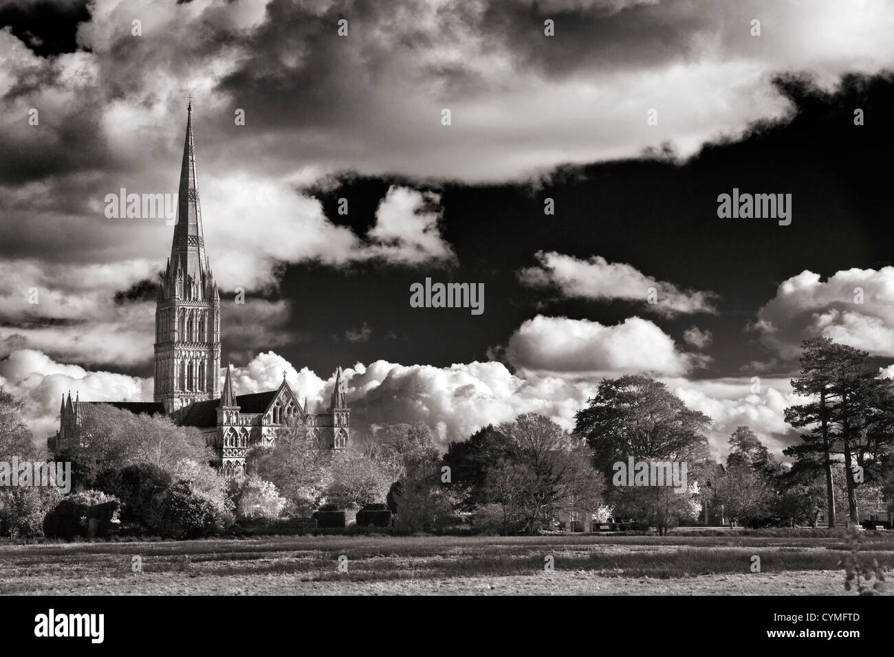 View of the spire of medieval Salisbury Cathedral, Wiltshire, England ...