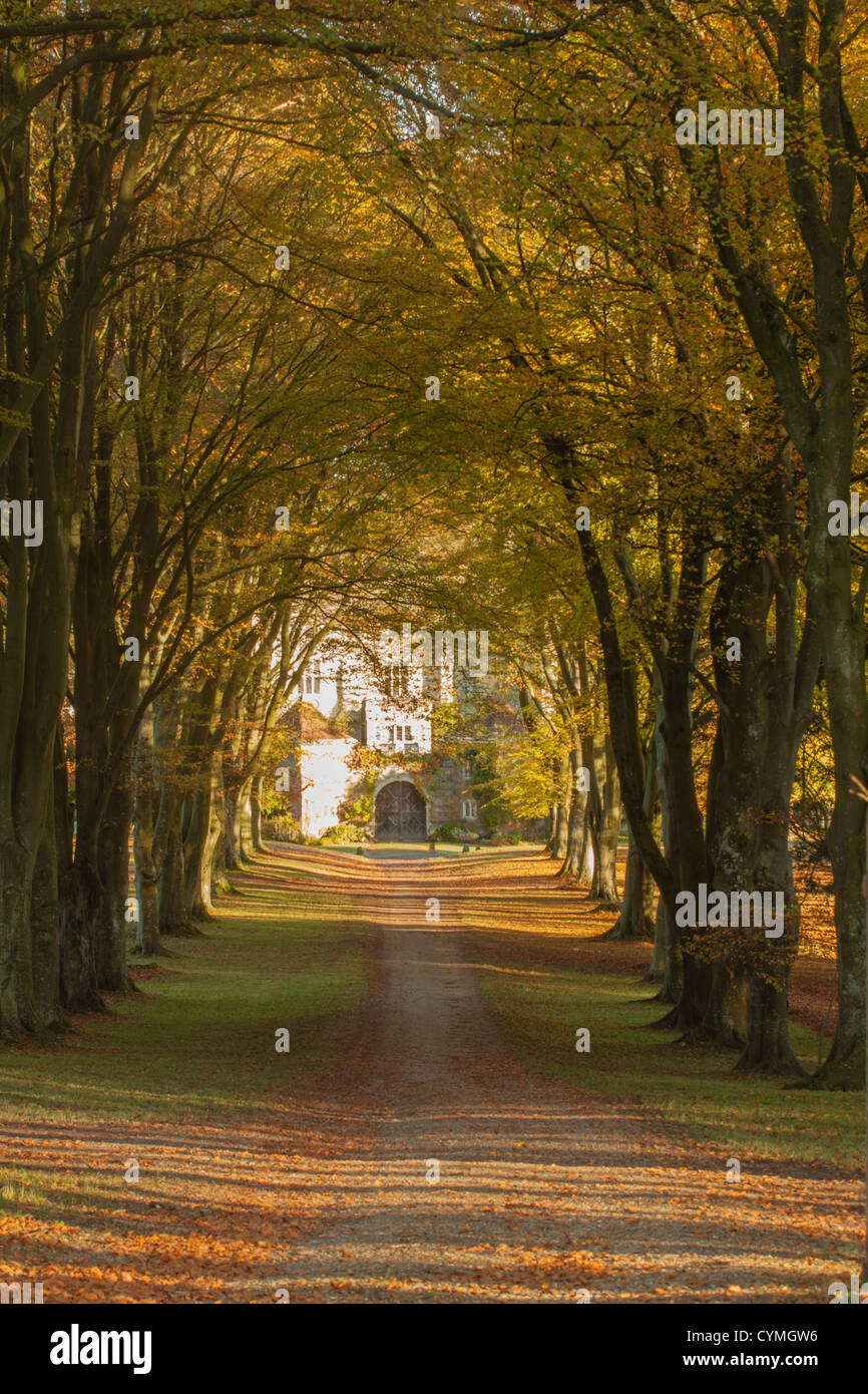 Cranborne Manor High Resolution Stock Photography and Images - Alamy