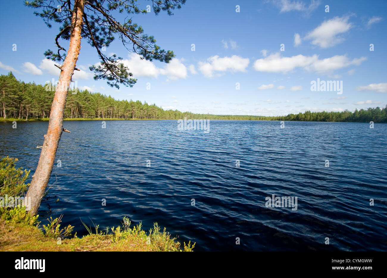 Tranquil scene of nature with lake and trees Stock Photo - Alamy