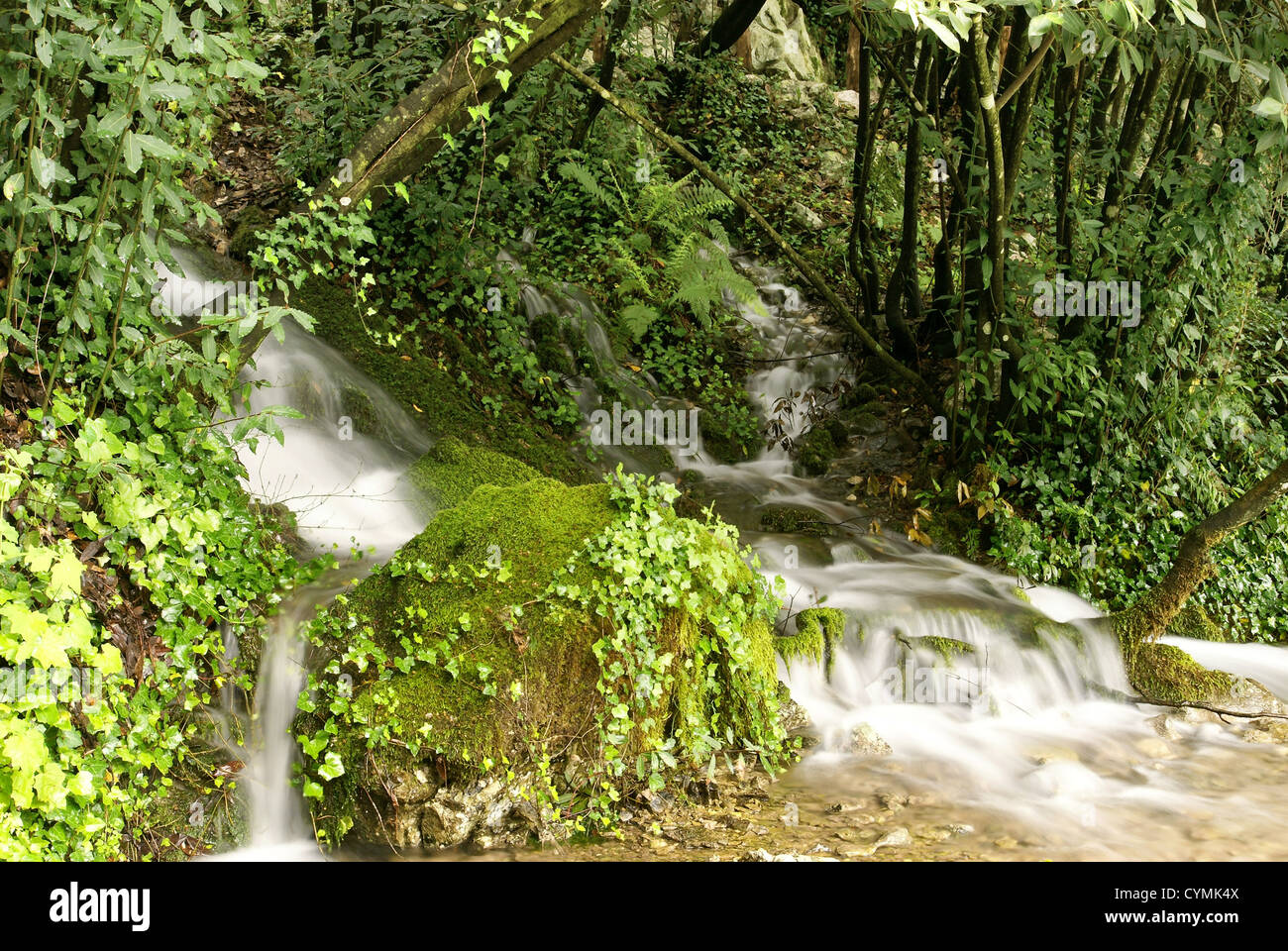 nice scene with a clean river waterfall in the forest Stock Photo - Alamy