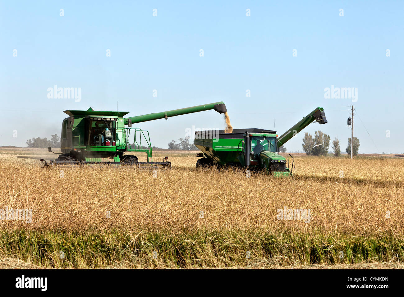 Rice farming tractor High Resolution Stock Photography and Images - Alamy