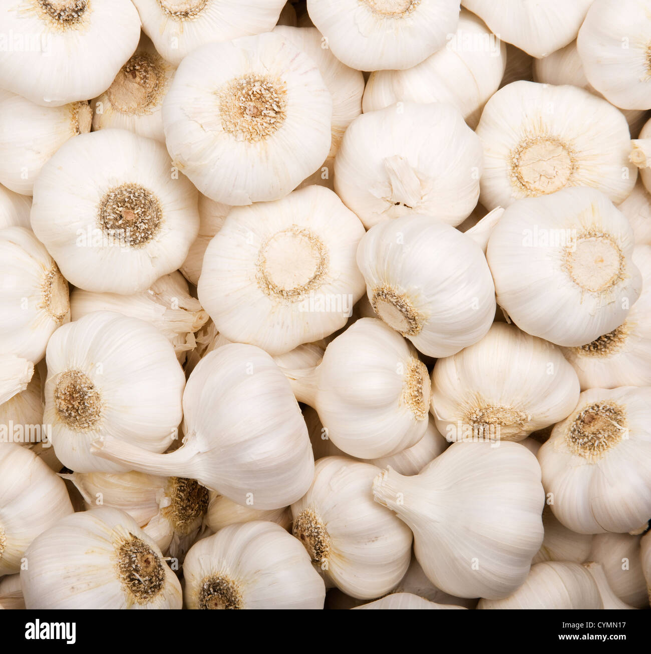 Garlic in a pile filling the frame Stock Photo - Alamy