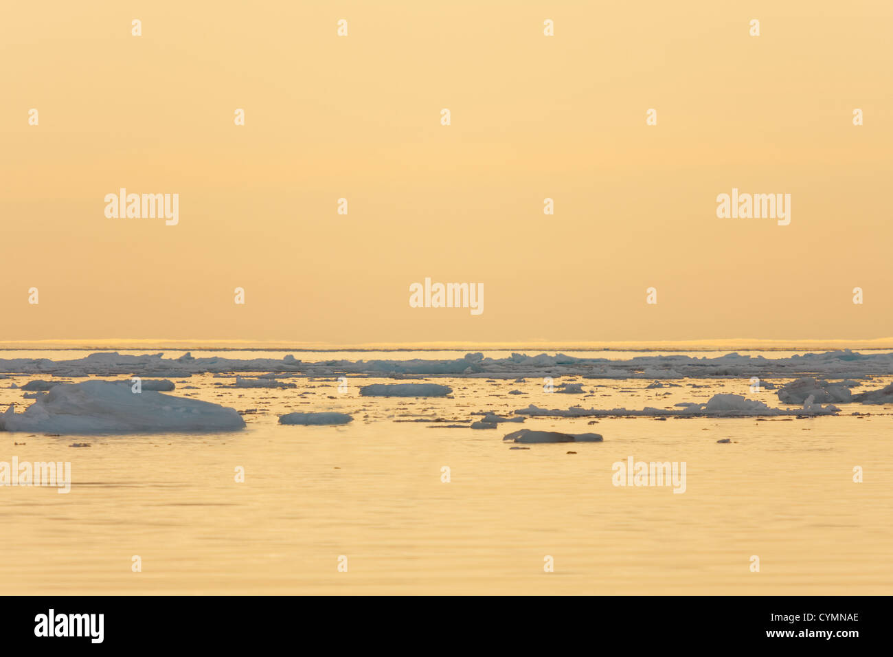 Ice floating in calm sea. Horizontally framed shot Stock Photo - Alamy
