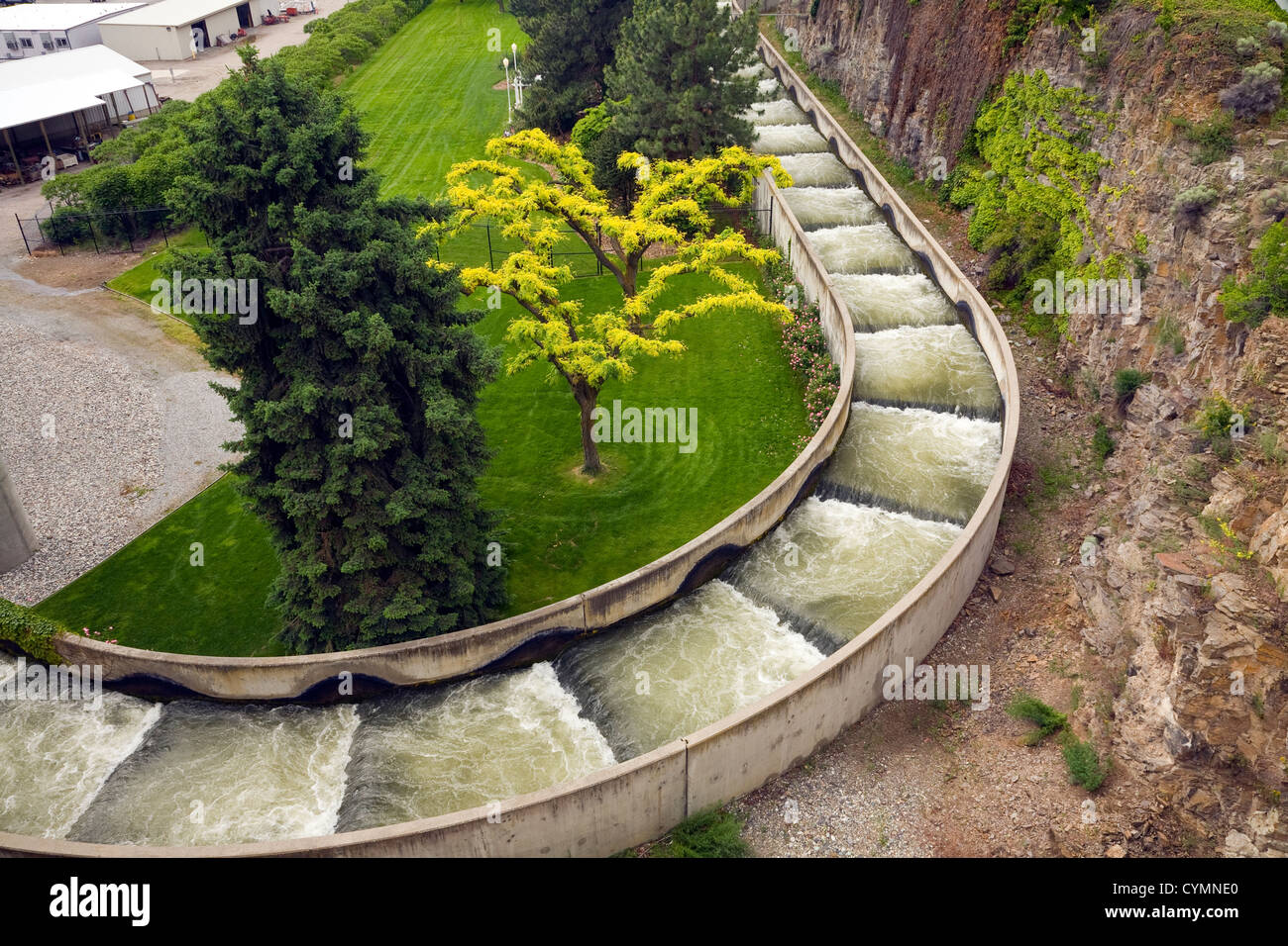 WA05637-00...WASHINGTON - The fish ladder at Rocky Reach Dam on the ...