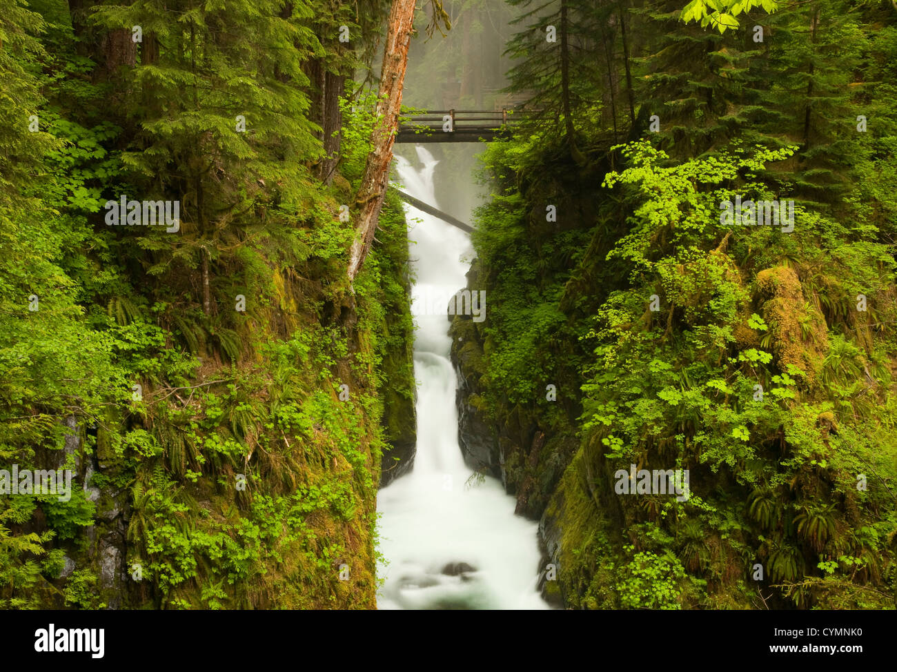 Sol duc falls bridge hi-res stock photography and images - Alamy