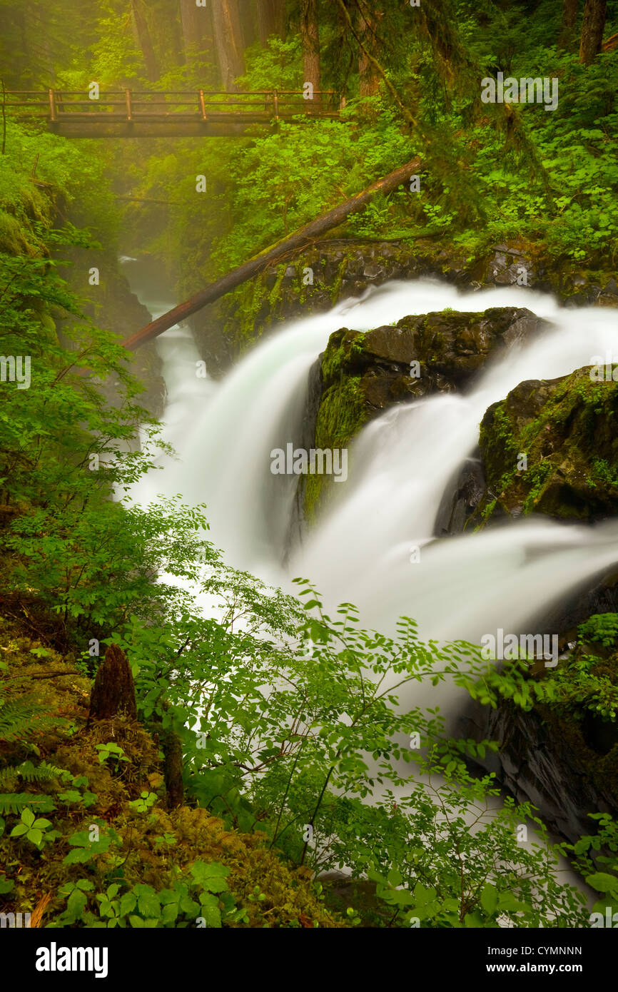 Sol duc park hi-res stock photography and images - Alamy