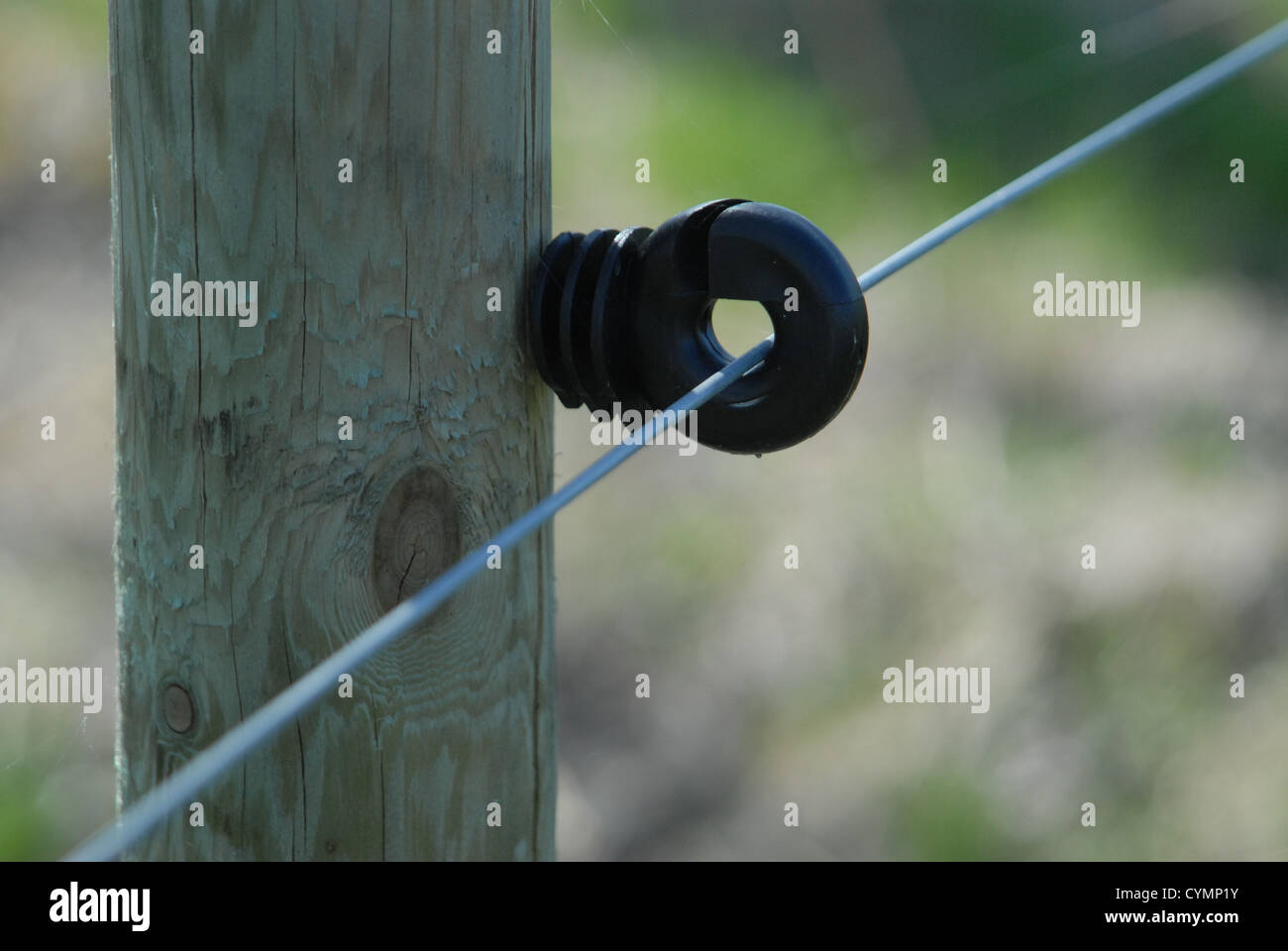 Electrified fence fencing hi-res stock photography and images - Alamy