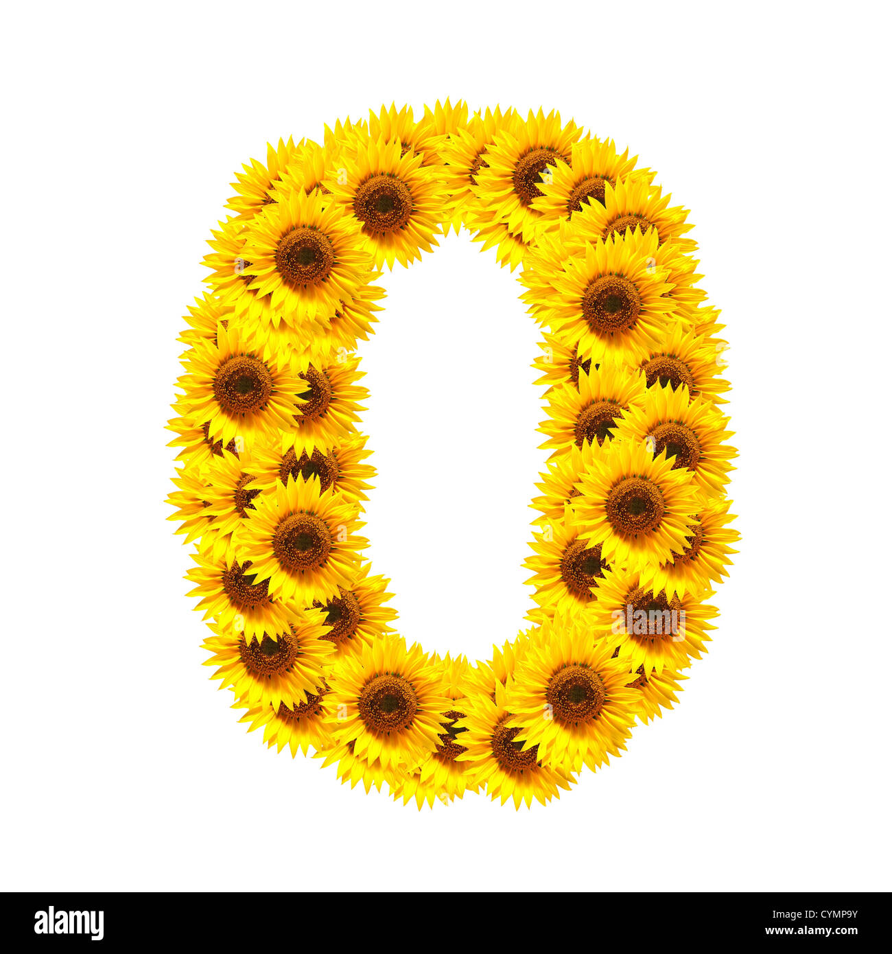 Sunflower Alphabet Isolated On White High Resolution Stock Photography ...