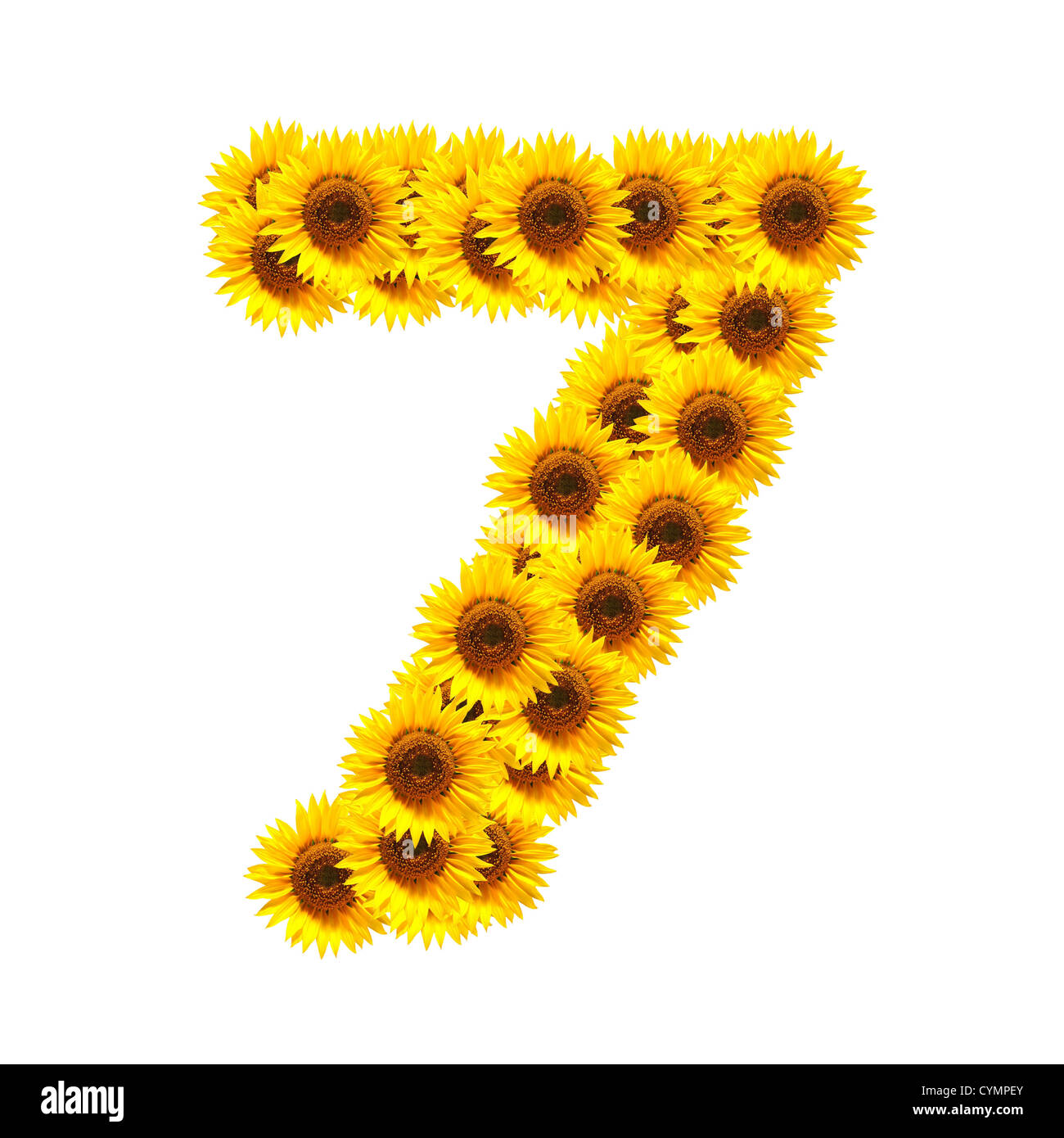 flower alphabet and numbers with sunflowers isolated on white ...