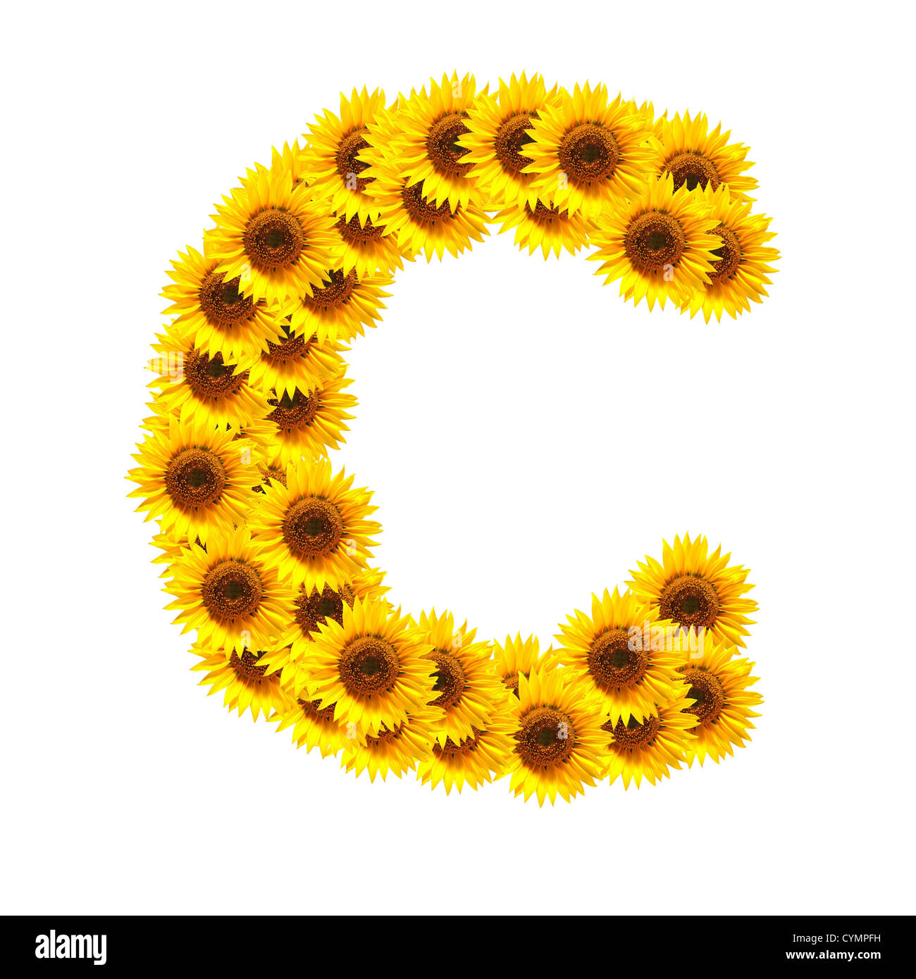 Sunflower Alphabet Isolated On White High Resolution Stock Photography ...