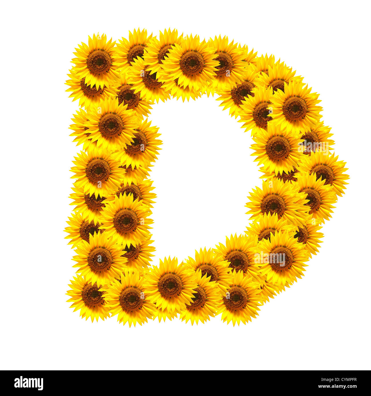 flower alphabet and numbers with sunflowers isolated on white ...