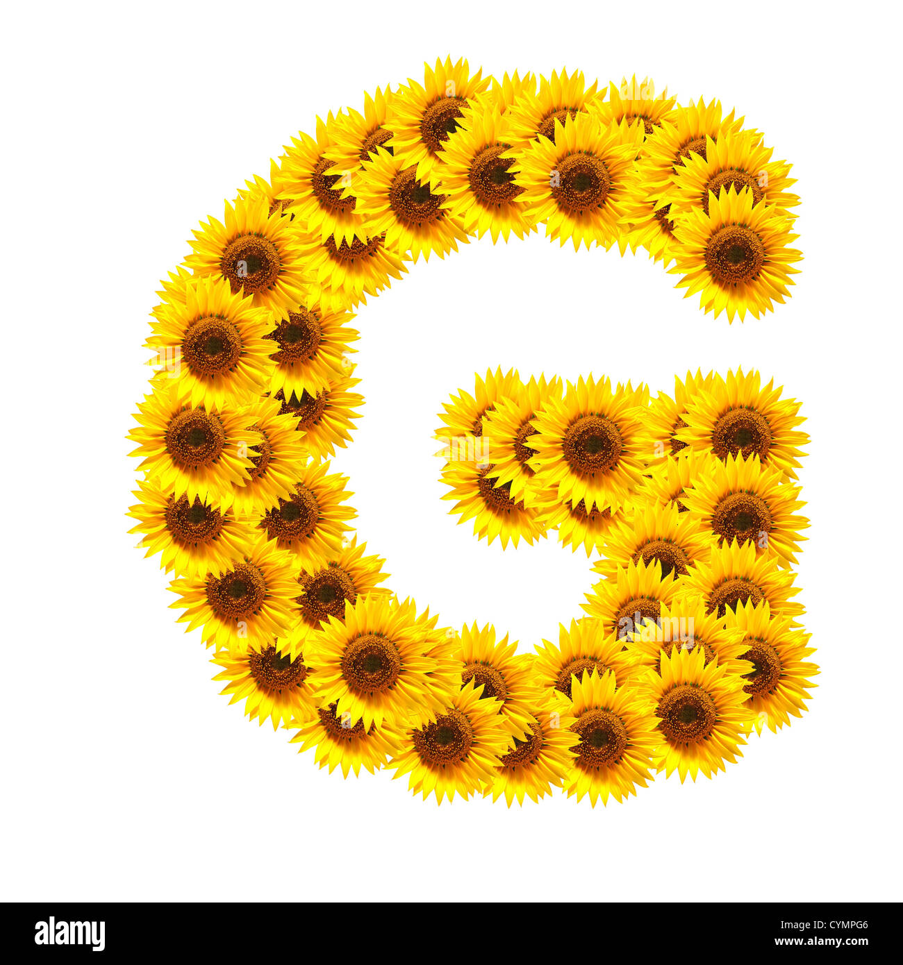 flower alphabet and numbers with sunflowers isolated on white ...
