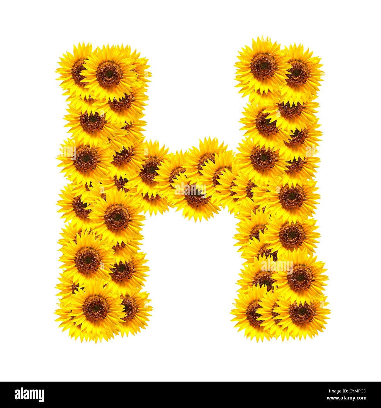 flower alphabet and numbers with sunflowers isolated on white ...