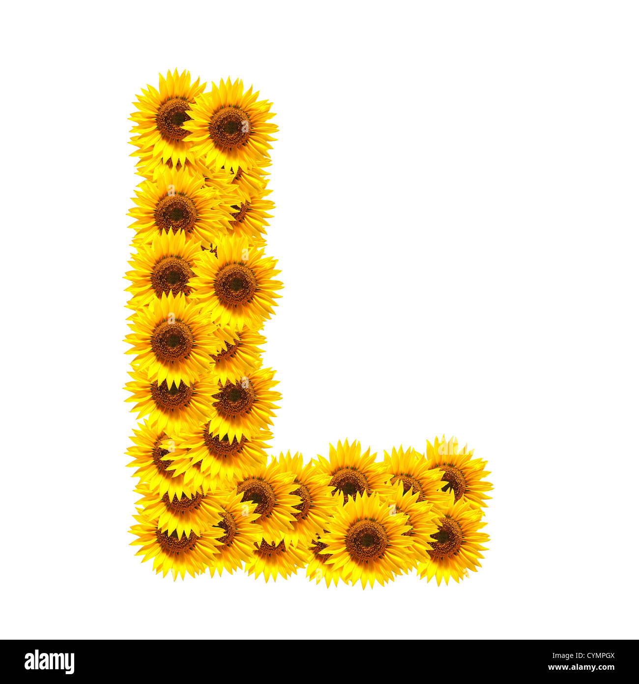 flower alphabet and numbers with sunflowers isolated on white ...