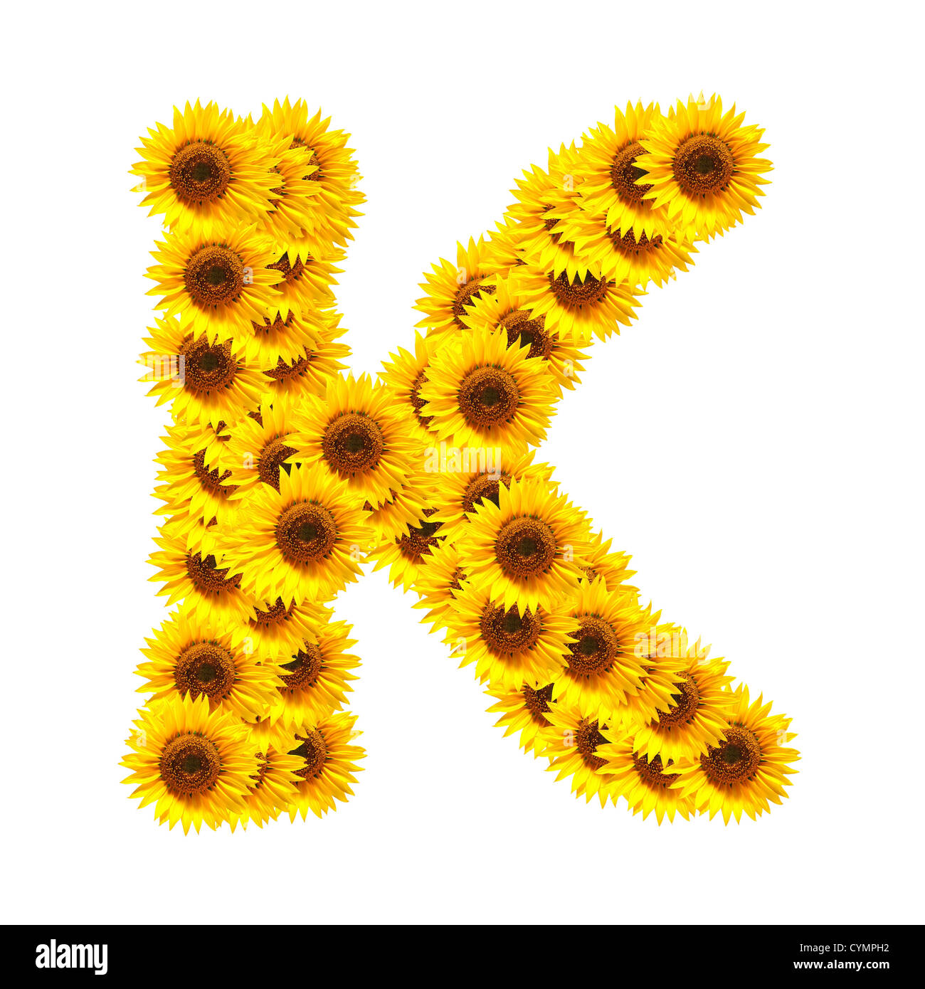 flower alphabet and numbers with sunflowers isolated on white ...