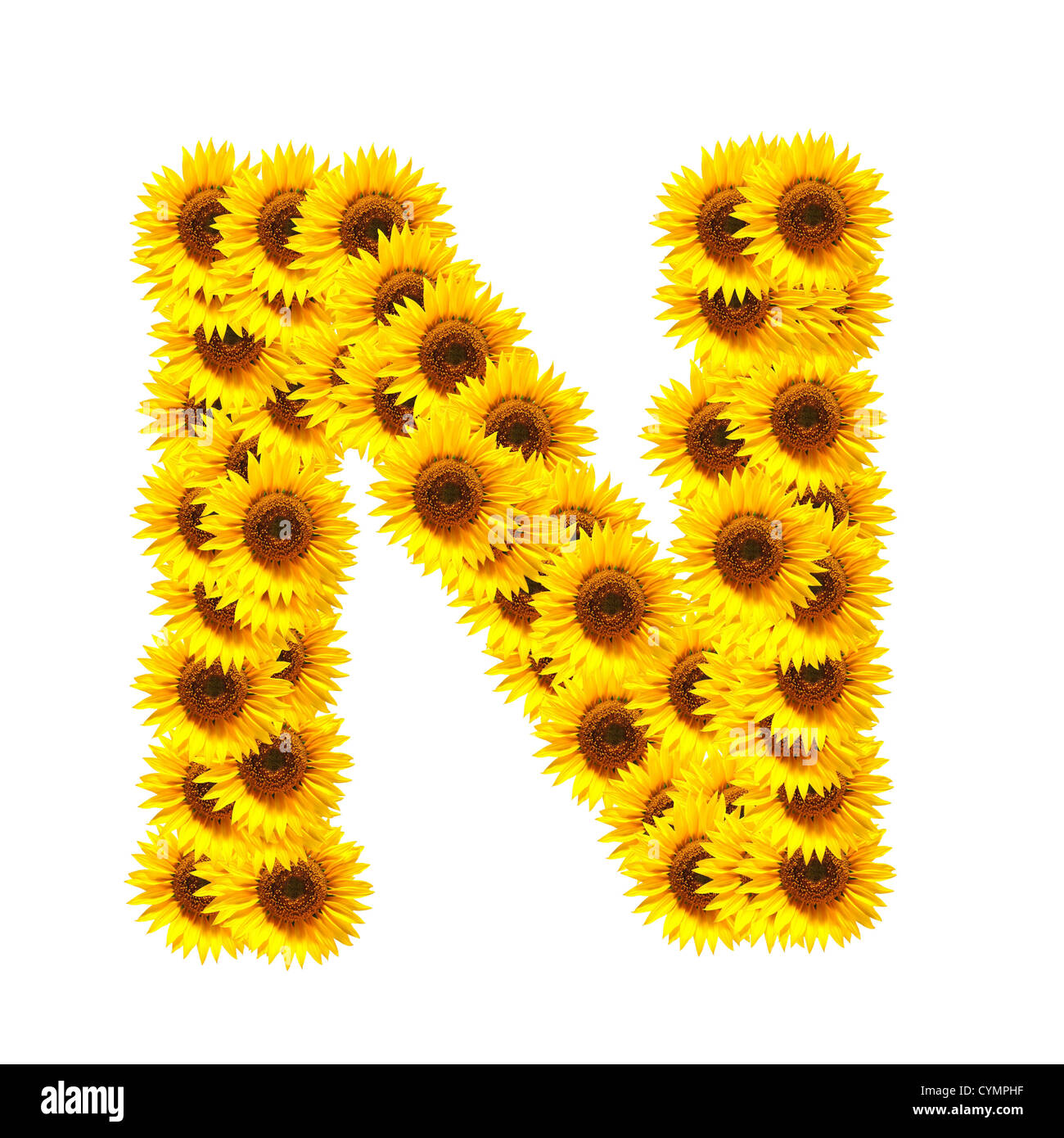 Sunflower alphabet isolated on white hi-res stock photography and ...