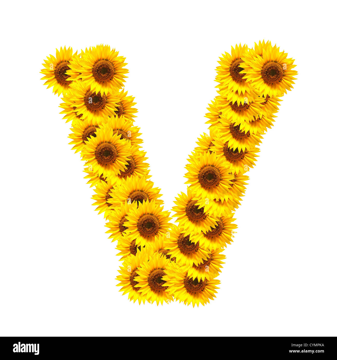 flower alphabet and numbers with sunflowers isolated on white ...