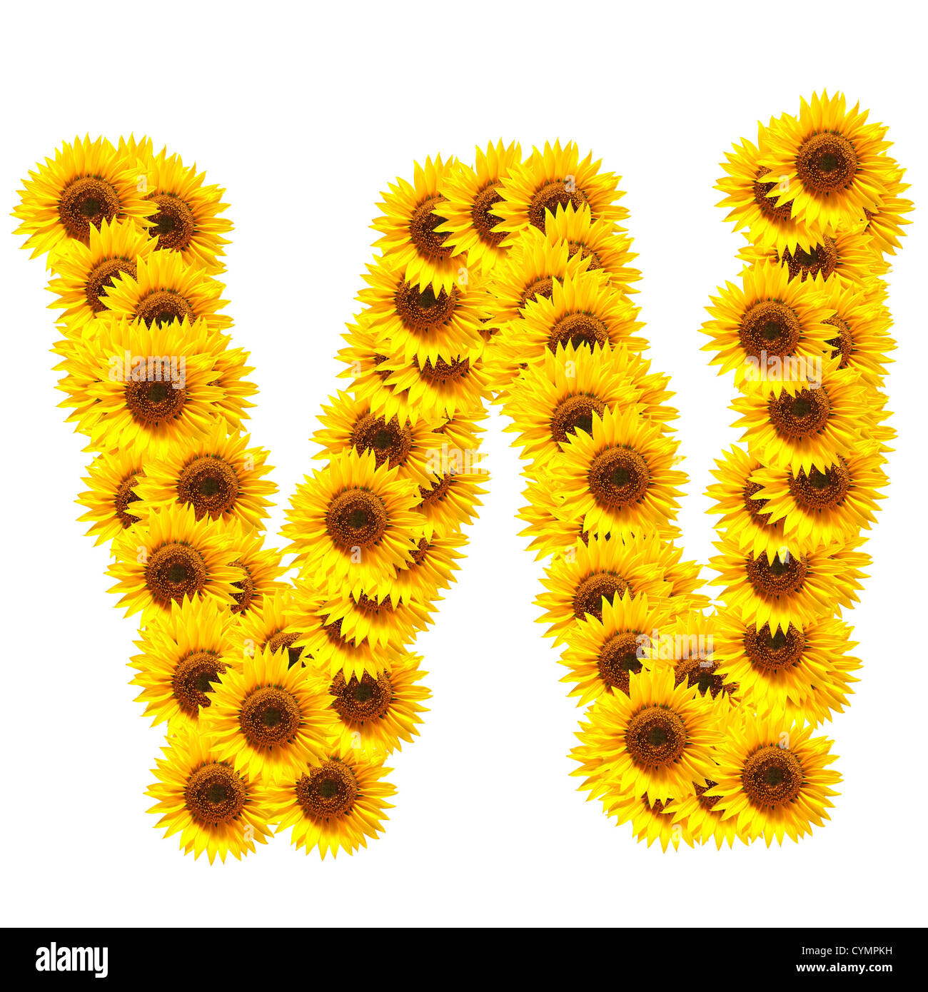 flower alphabet and numbers with sunflowers isolated on white ...