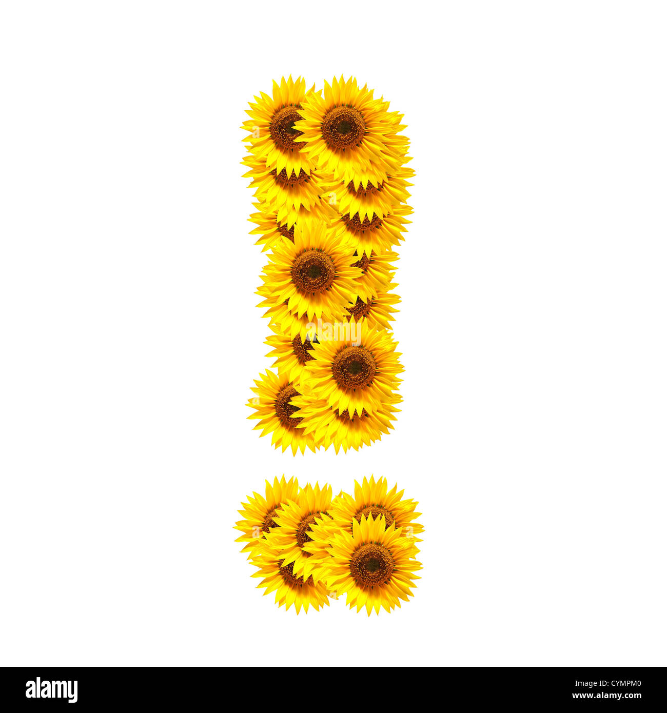 flower alphabet and numbers with sunflowers isolated on white ...