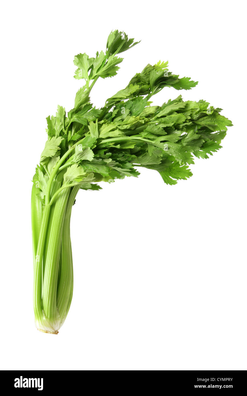Bunch celery Cut Out Stock Images & Pictures - Alamy