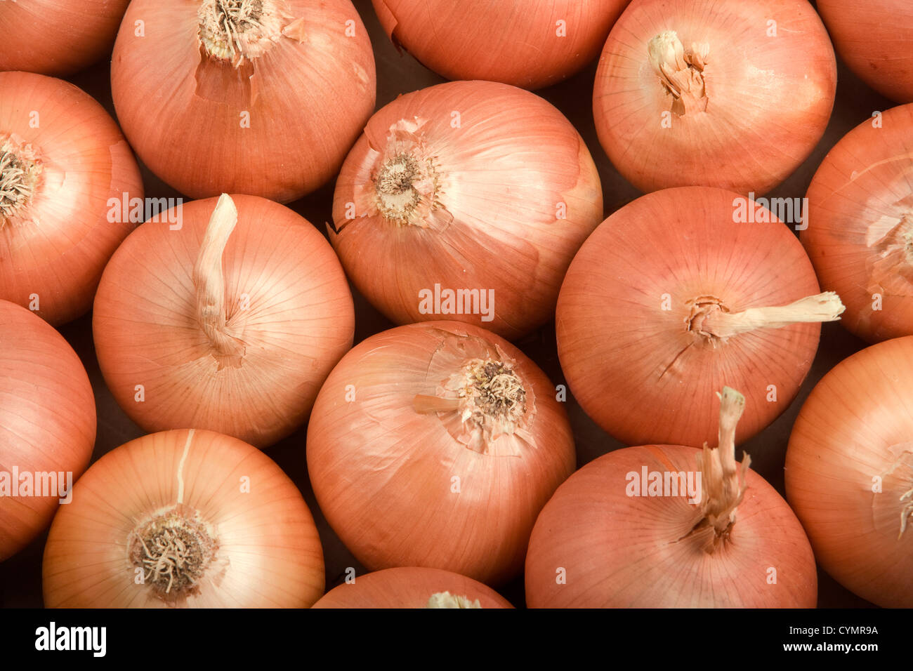 Onions Filling the Frame Stock Photo - Alamy