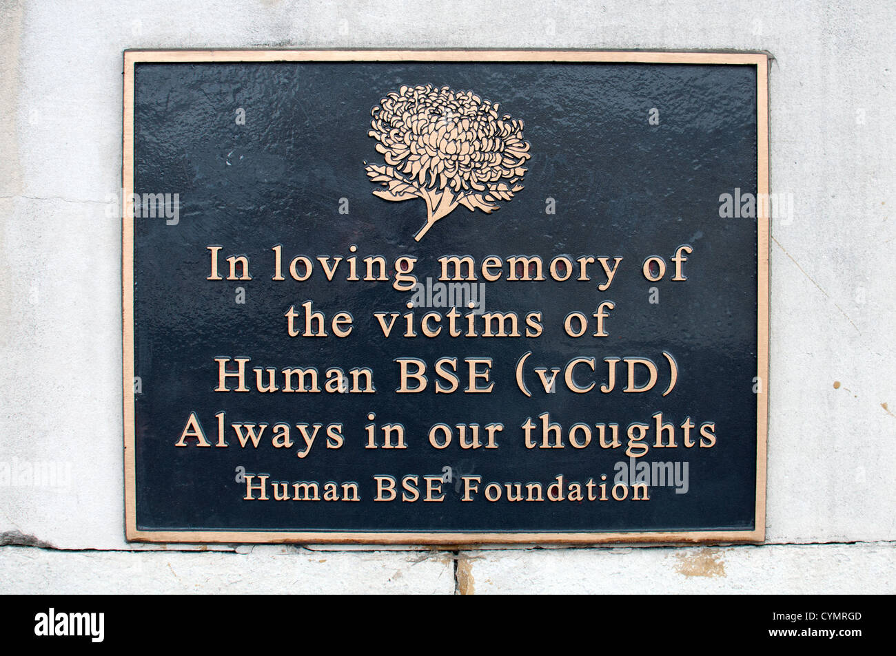 Human bse foundation hi-res stock photography and images - Alamy