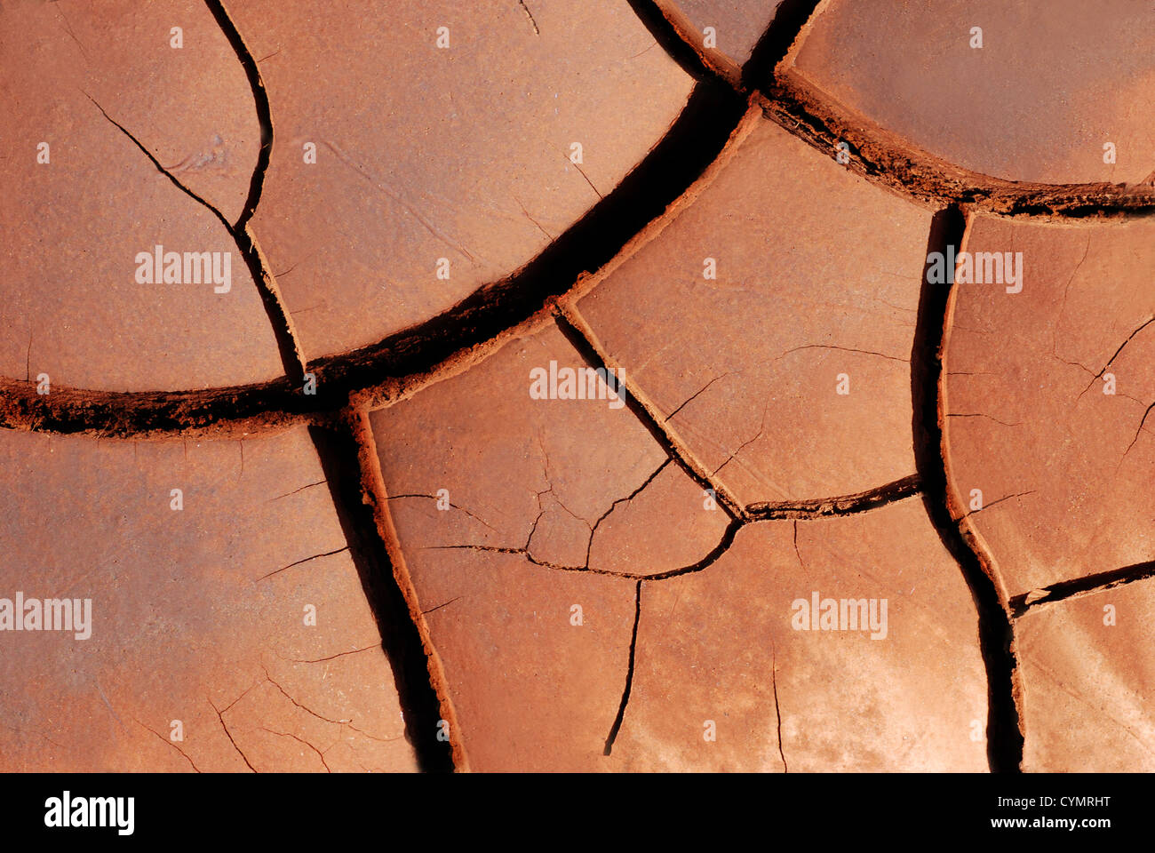 cracked dry mud in beautiful shapes Stock Photo - Alamy