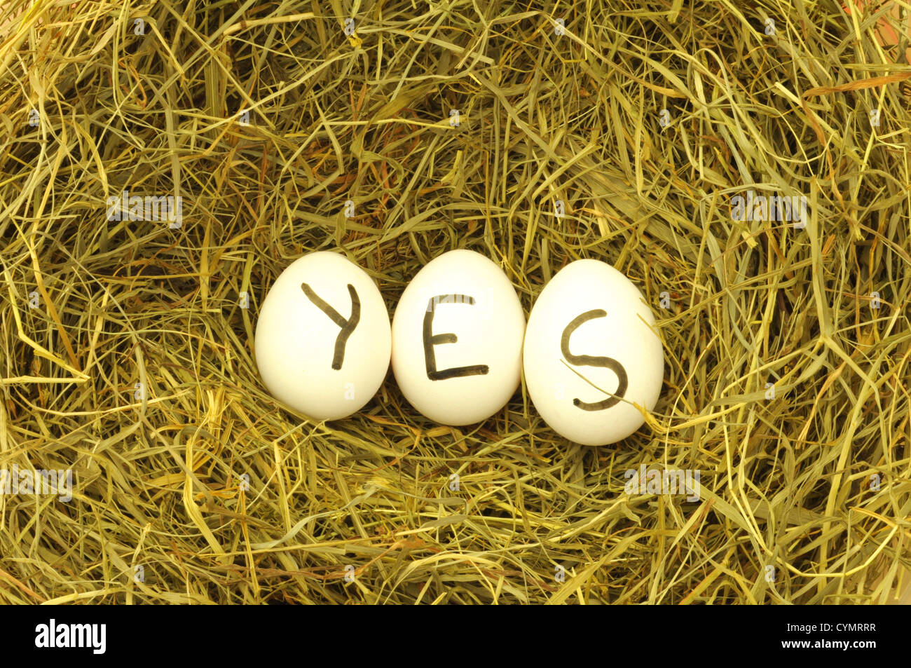 yes written on eggs in green hey or straw Stock Photo - Alamy