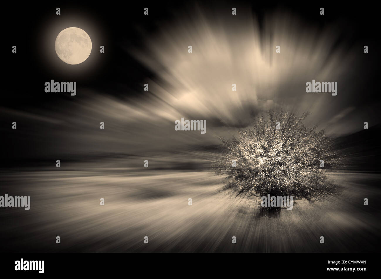 abstract motion blured background with alone tree and moon Stock Photo ...