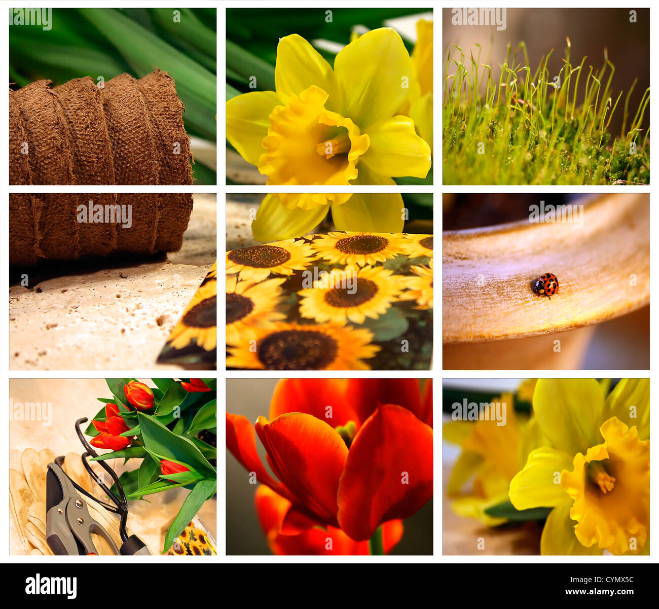 Garden collage of tools, seeds and tulips for planting Stock Photo - Alamy