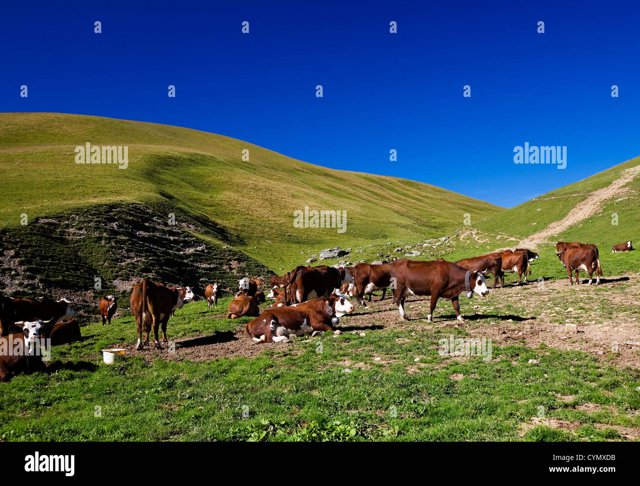 Agriculture alpine hi-res stock photography and images - Alamy