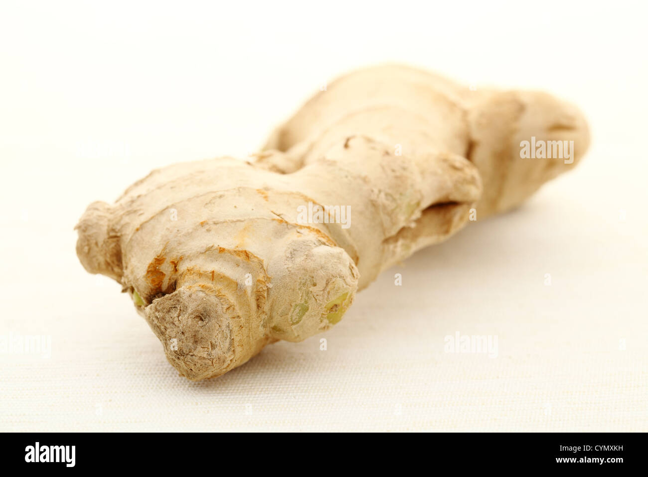 Tuber root rhizome hi-res stock photography and images - Alamy