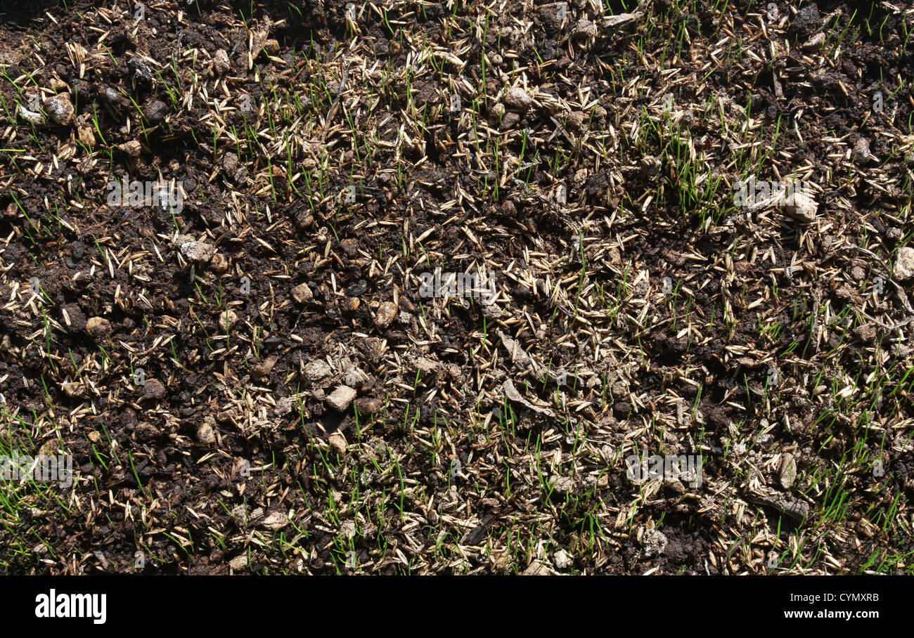 Fresh from the beginning hi-res stock photography and images - Alamy