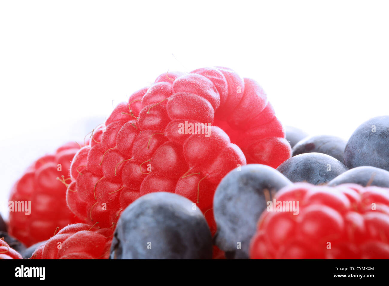 Raspberries and blueberries shot in studio with blue filtered lighting ...