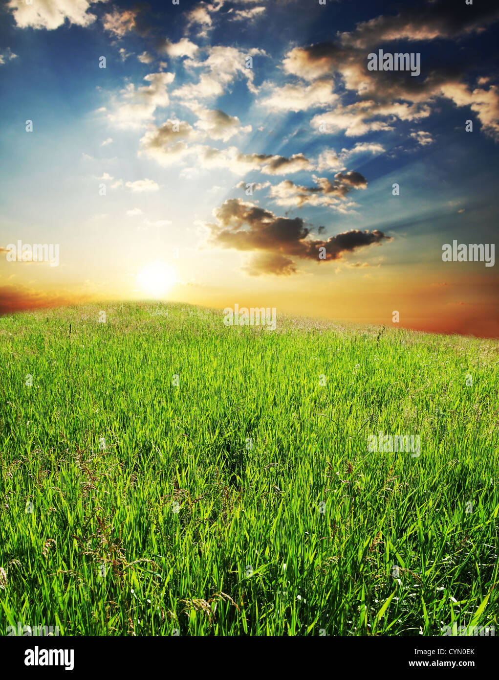 Field sunrise green hi-res stock photography and images - Alamy