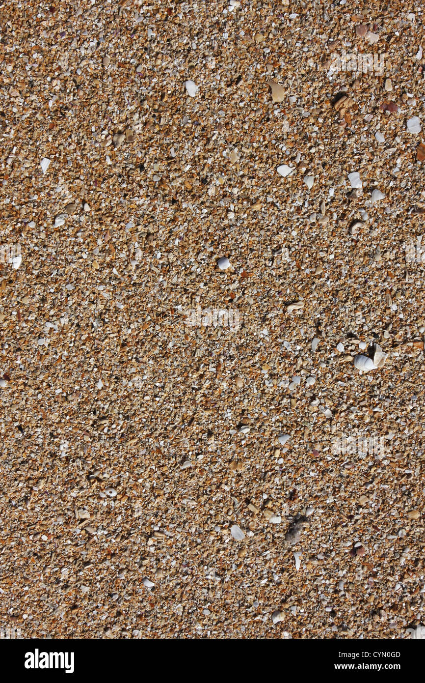 shell sand on the beach with water lines, great detail and texture ...