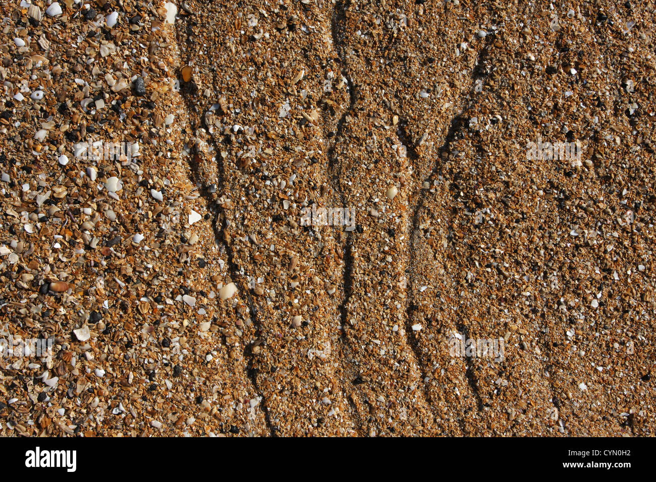 shell sand on the beach with water lines, great detail and texture ...