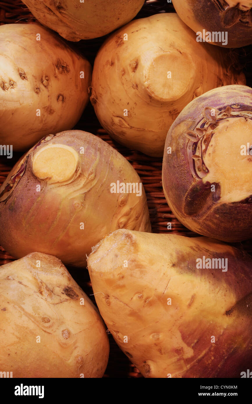 Turnip farmers hi-res stock photography and images - Alamy