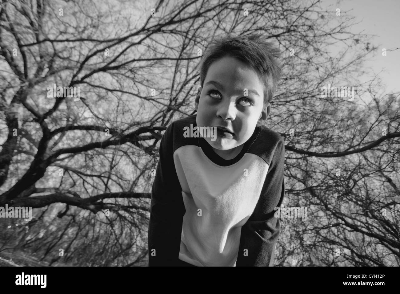 Boy in the forest cowers in fear Stock Photo - Alamy