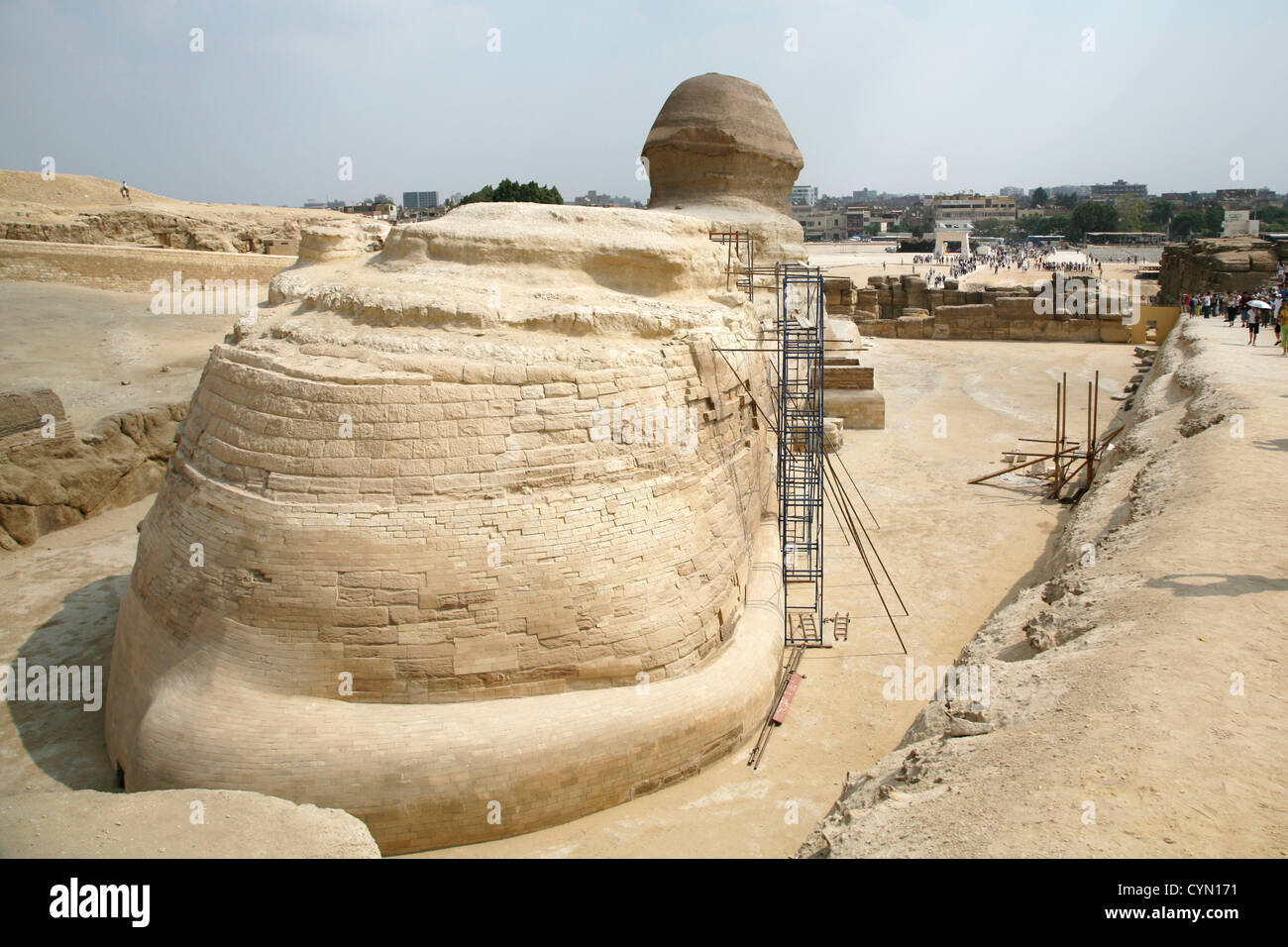 back view of the sphinx next to gizah in egypt Stock Photo - Alamy