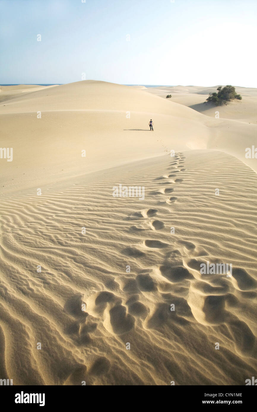big dunes at maspalomas natural park in great canary spain Stock Photo ...