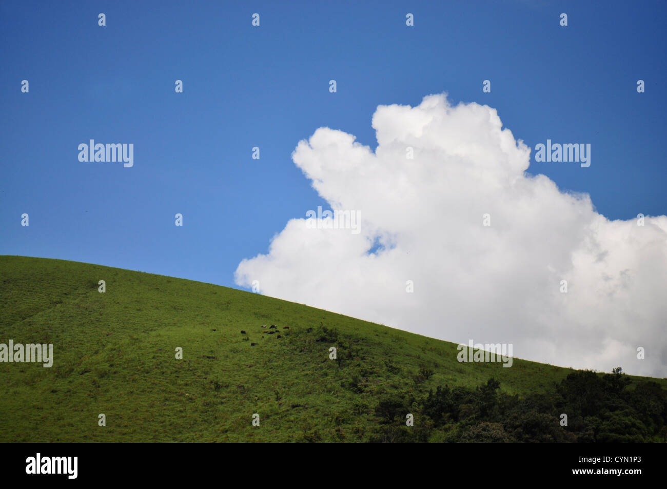 Windows wallpaper hi-res stock photography and images - Alamy
