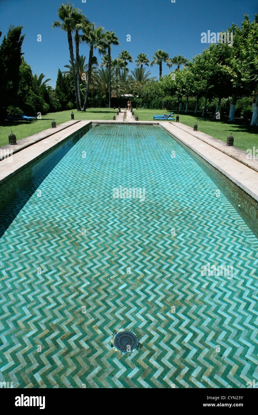 swimming pool arab style with grass and palms Stock Photo - Alamy