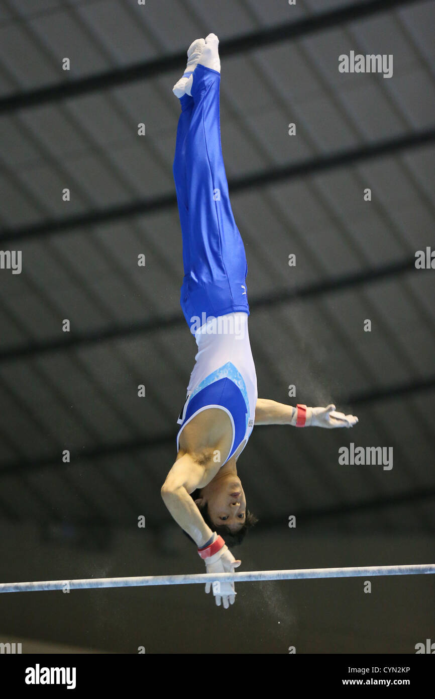 Yosuke Hoshi, NOVEMBER 2, 2012 - Artistic Gymnastics : The 66th All ...