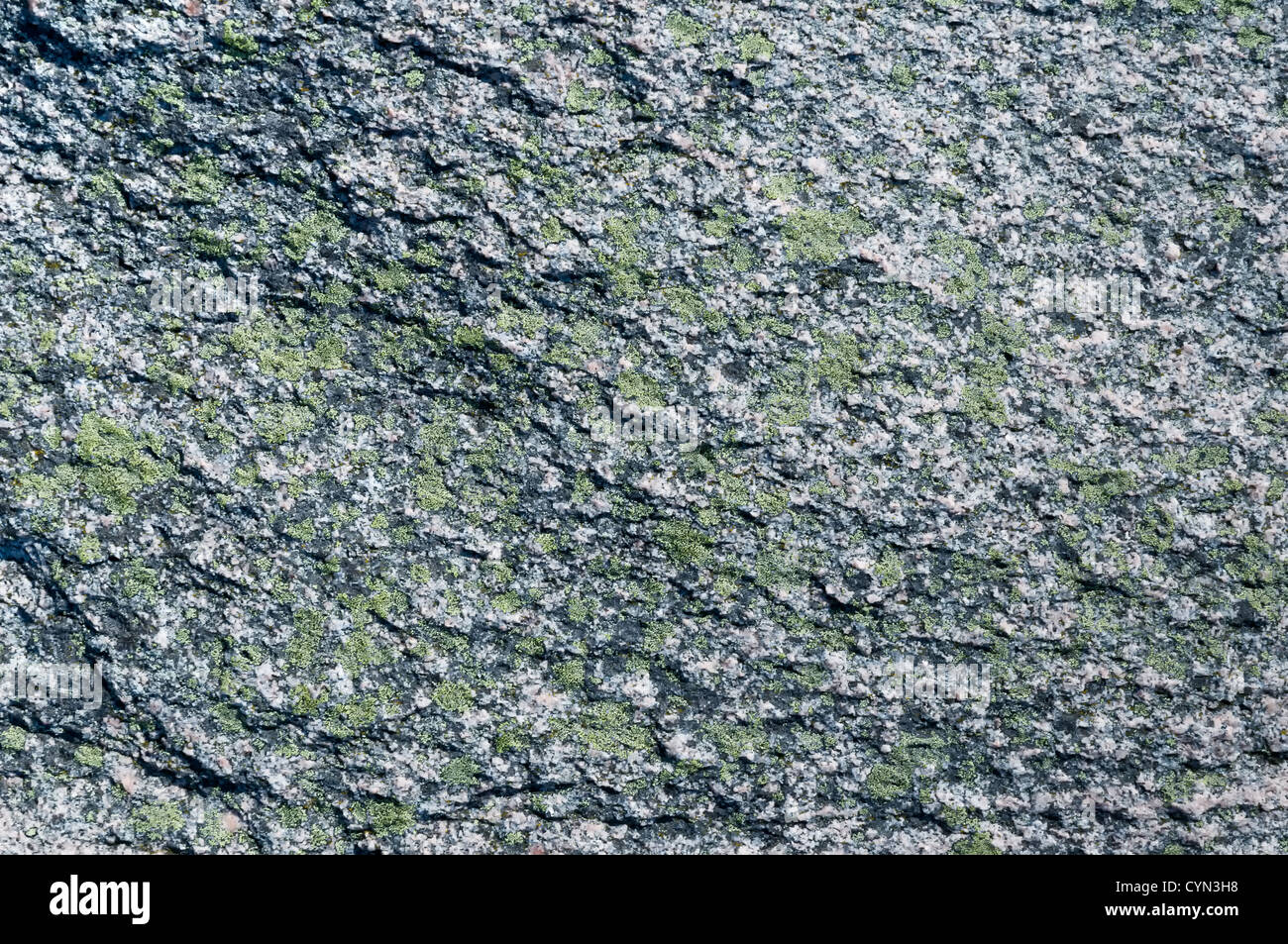 Granite with green moos on the surface beautiful background Stock Photo ...