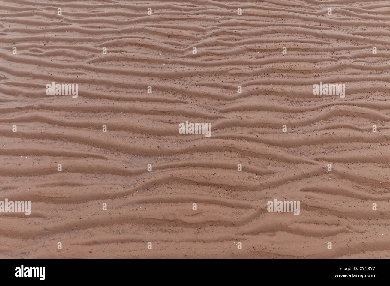 Sand ripples in the mud flat beautiful beige color tone Stock Photo - Alamy